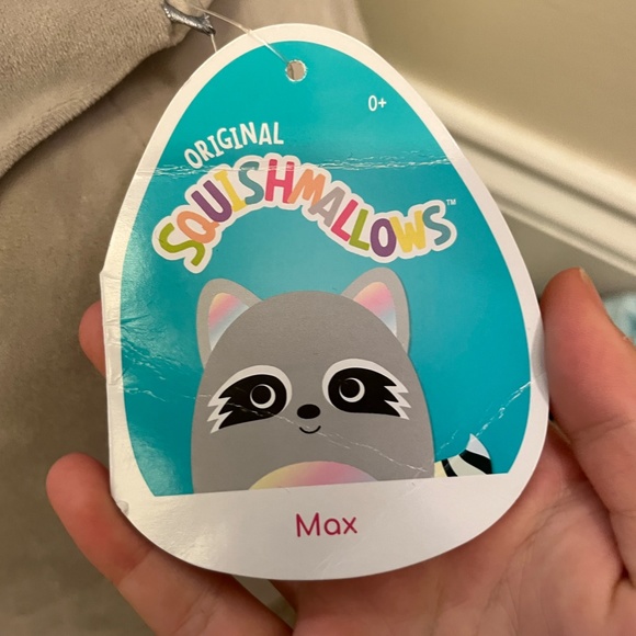 Squishmallows | Toys | 6 Max The Raccoon Squishmallow | Poshmark